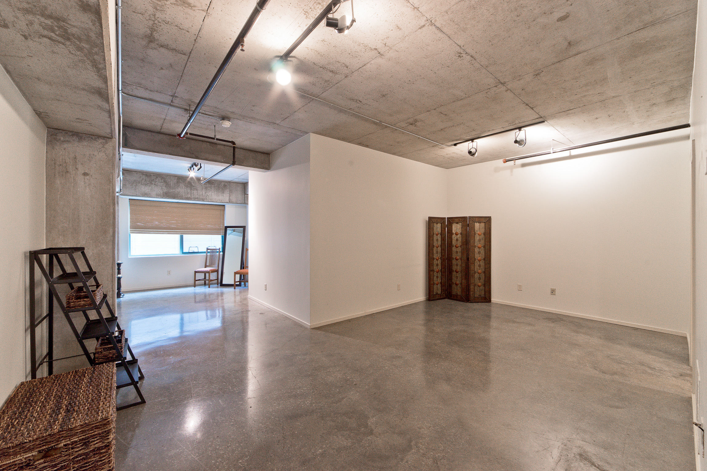 Sleek and Sophisticated Downtown Loft